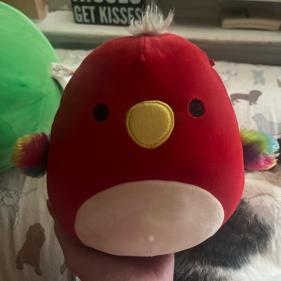 Squishmallows | Toys | Paco Bird Squishmallow | Poshmark
